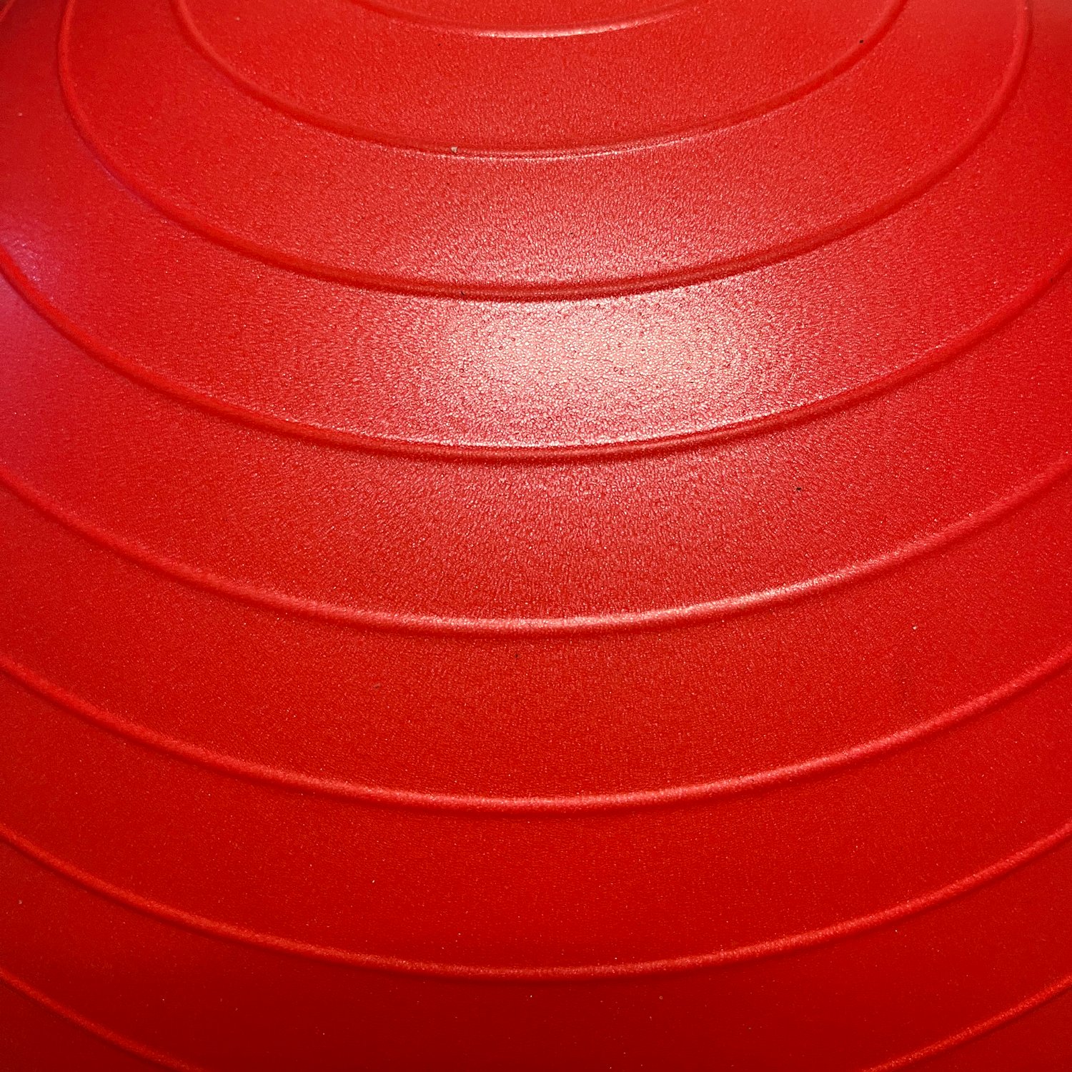 Lifeline 55 cm Exercise Ball | Free Shipping at Academy