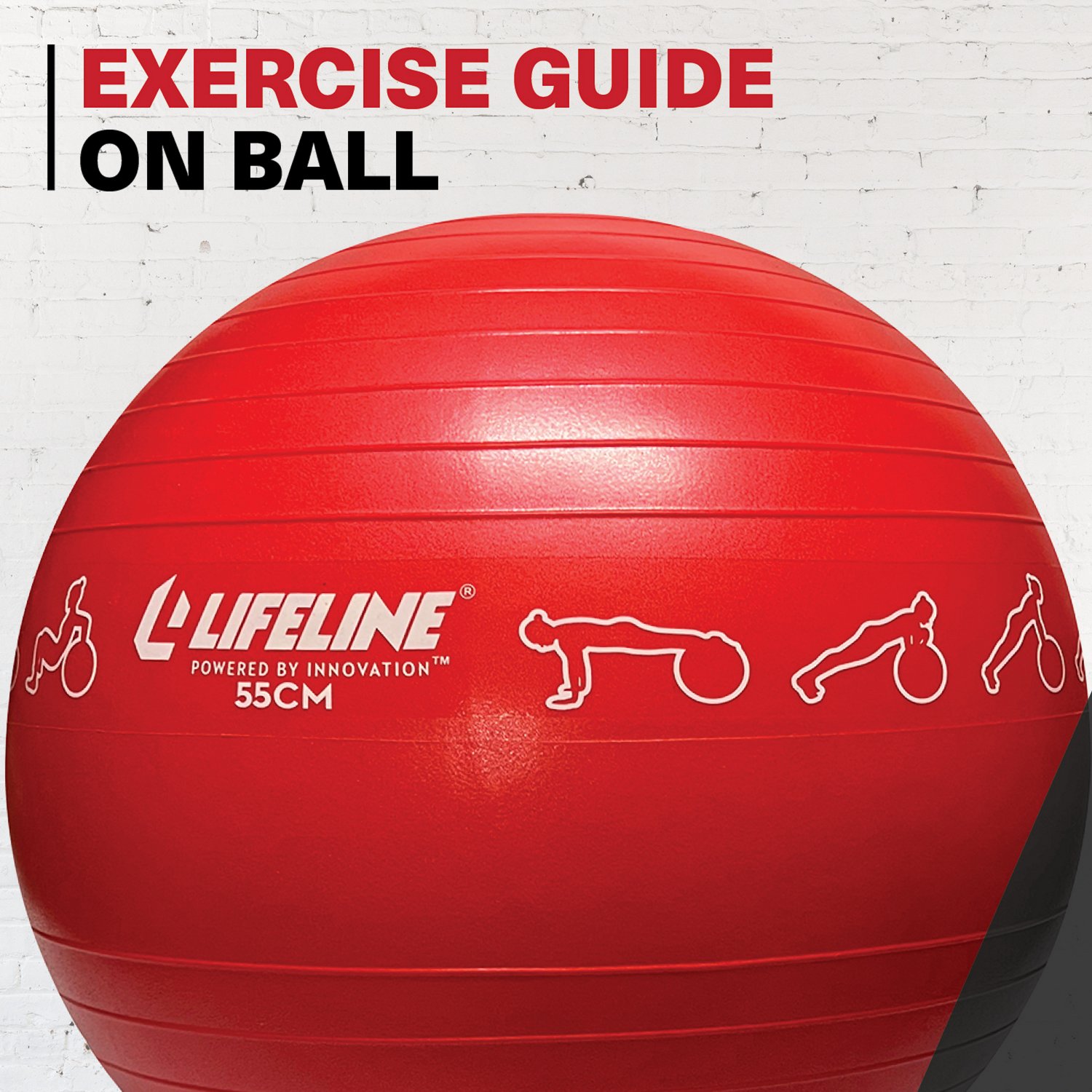 Lifeline 55 cm Exercise Ball | Free Shipping at Academy