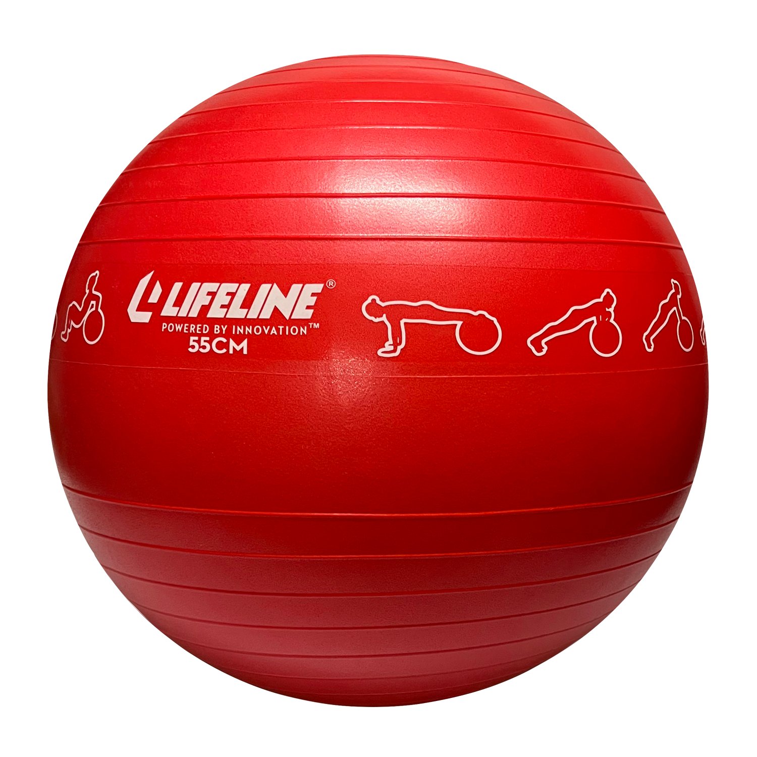 Lifeline 55 cm Exercise Ball | Free Shipping at Academy