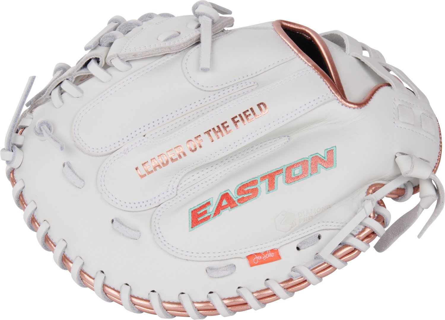 EASTON 33 in My Why Jen Schro Fast-Pitch Catcher’s Mitt | Academy
