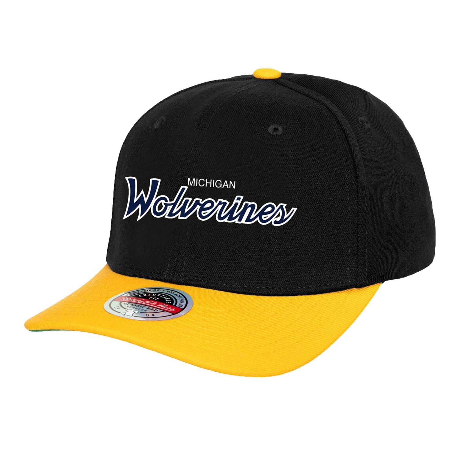 Mitchell Ness Michigan Wolverines Team Script 20 Snapback Hat | Academy