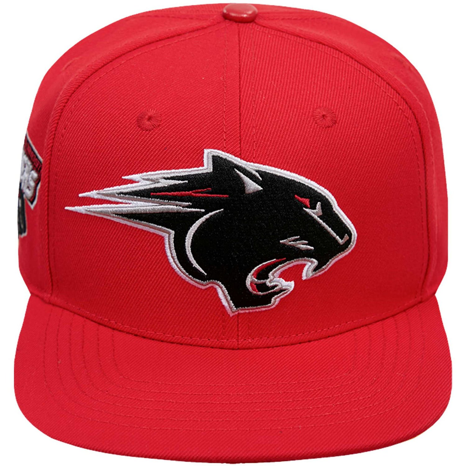Pro Standard Clark Atlanta Panthers Arch Over Logo Evergreen Snapback ...