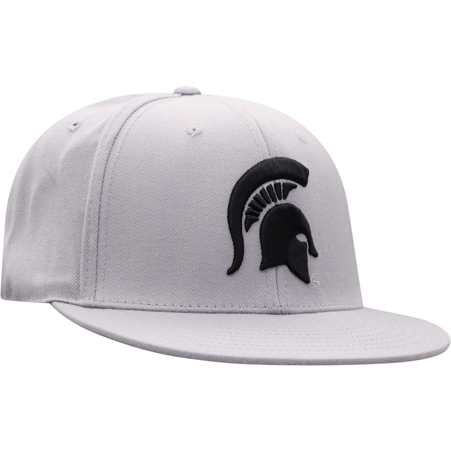Top of the World Michigan State Spartans Fitted Hat | Academy