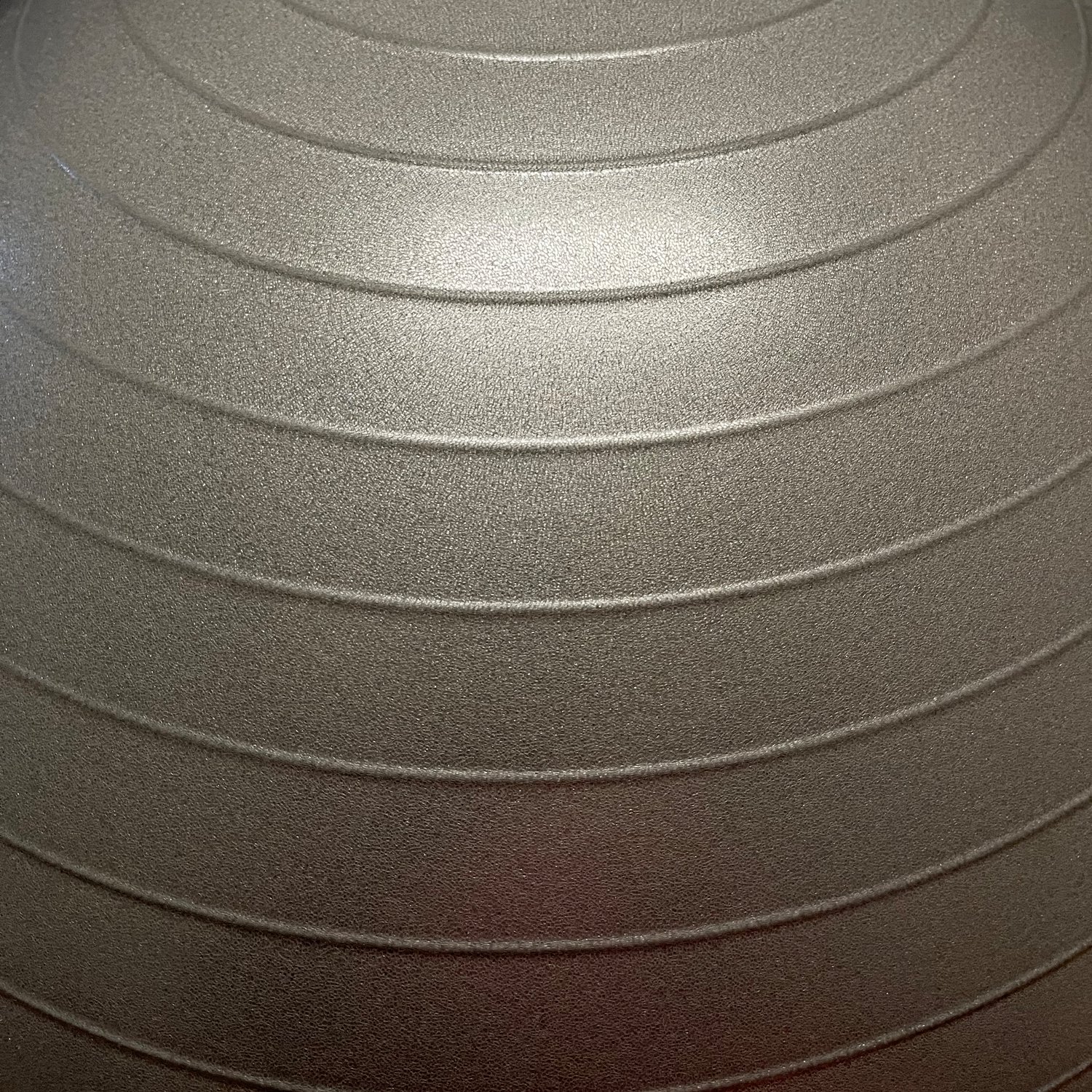 Lifeline 65 cm Exercise Ball | Free Shipping at Academy