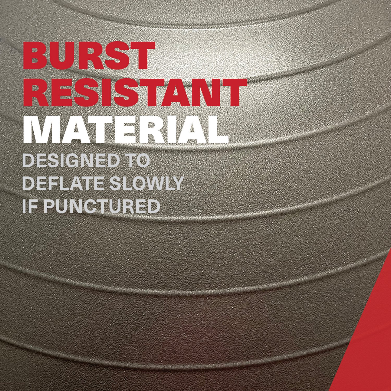 Lifeline 65 cm Exercise Ball | Free Shipping at Academy