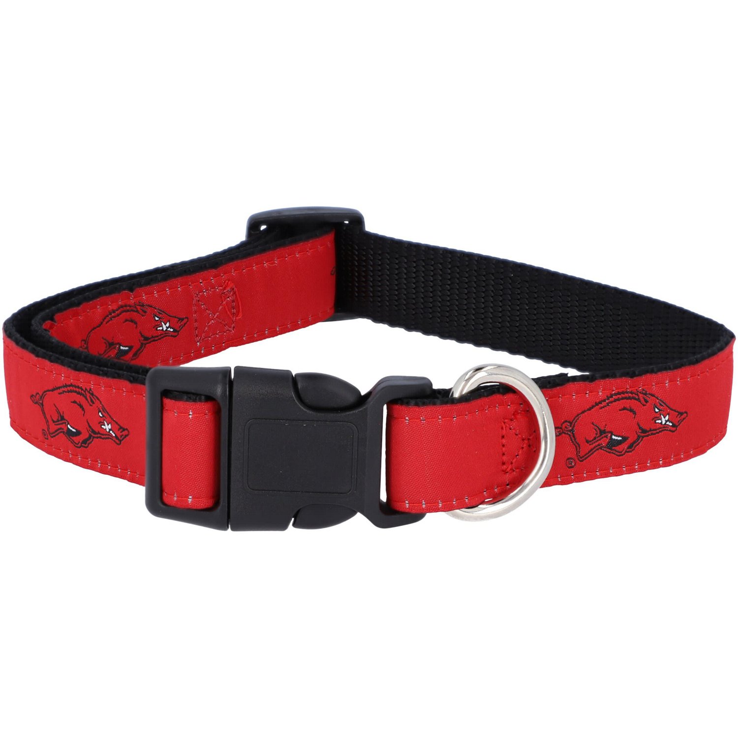 Arkansas Razorbacks 1" Regular Dog Collar | Academy