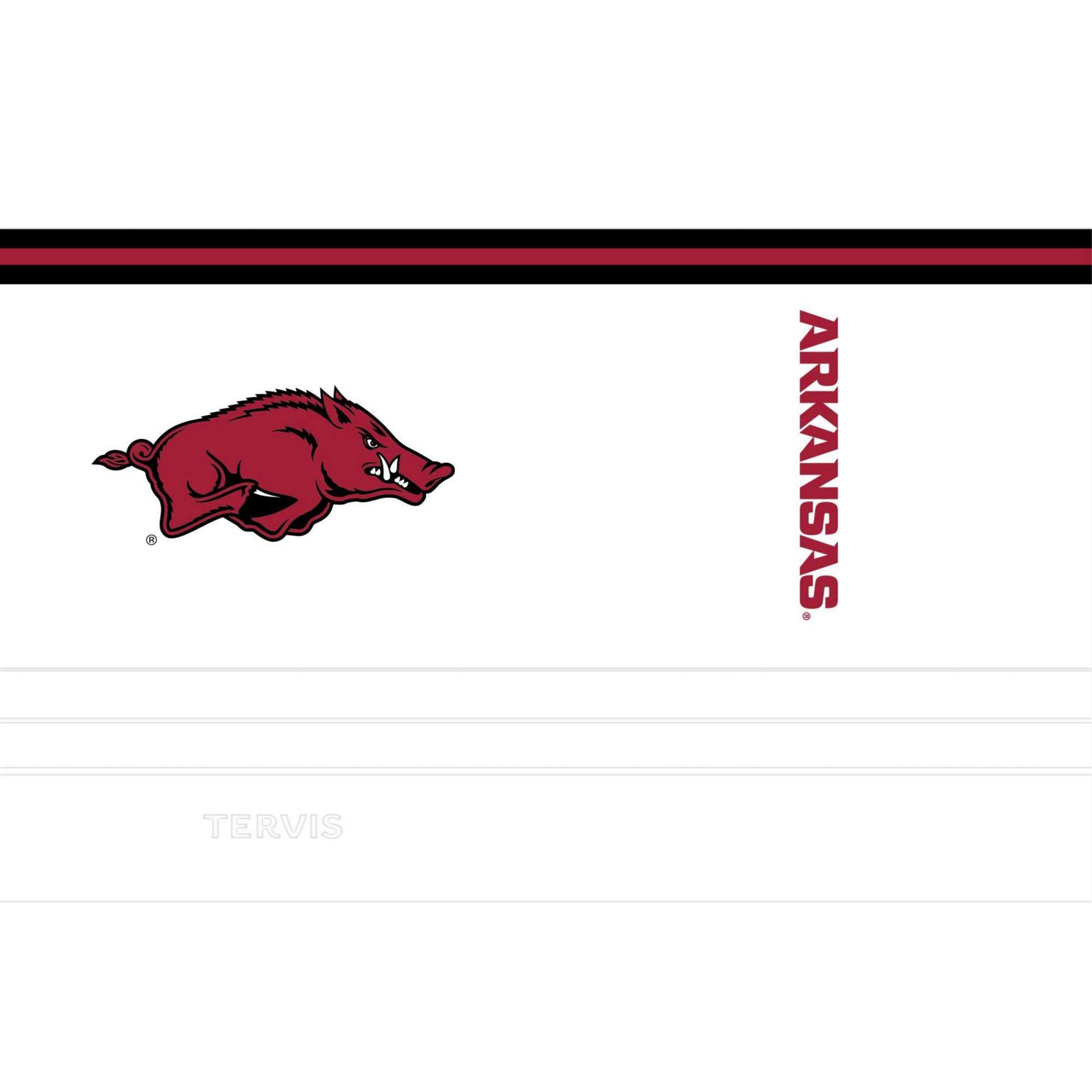 Tervis Arkansas Razorbacks Arctic 20oz Stainless Steel Tumbler | Academy