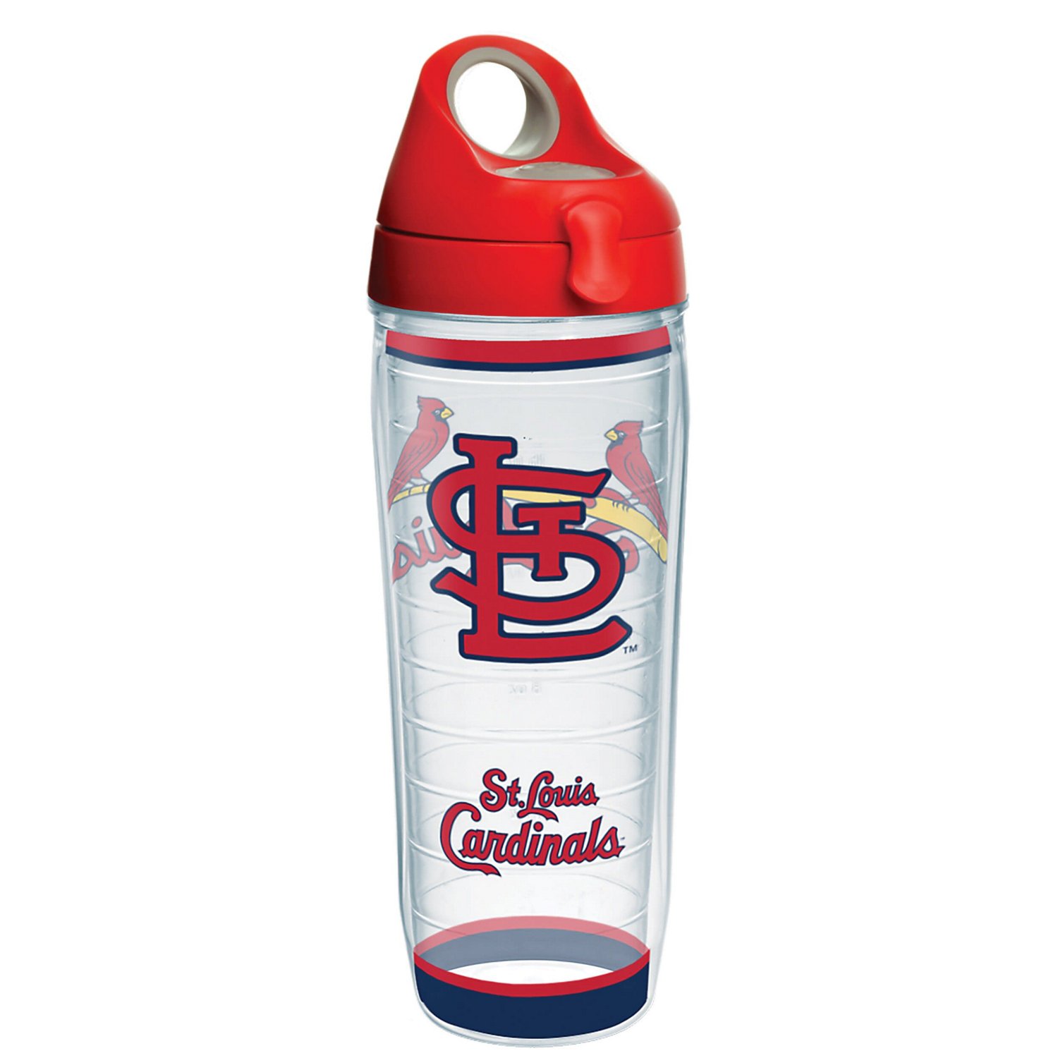 Tervis St Louis Cardinals 24oz Tradition Classic Water Bottle | Academy