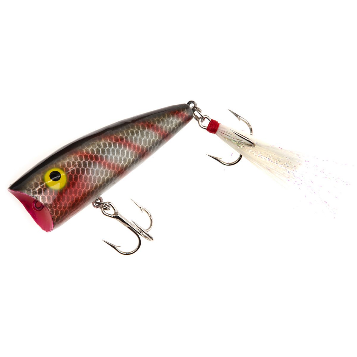 Rebel Pop R Plus 2-1/2" Topwater Bait | Academy