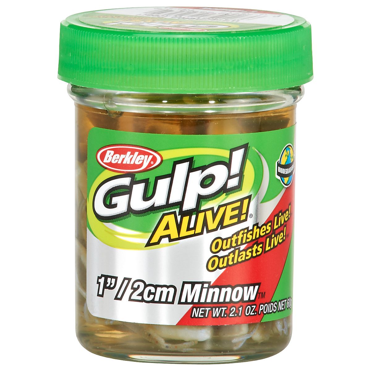 Berkley® Gulp!® Alive!™ 1" Minnow Jar | Academy