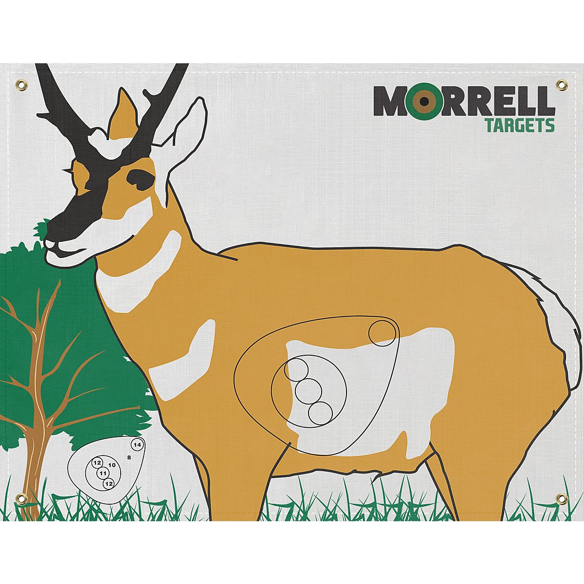 Morrell Antelope Target Face | Academy