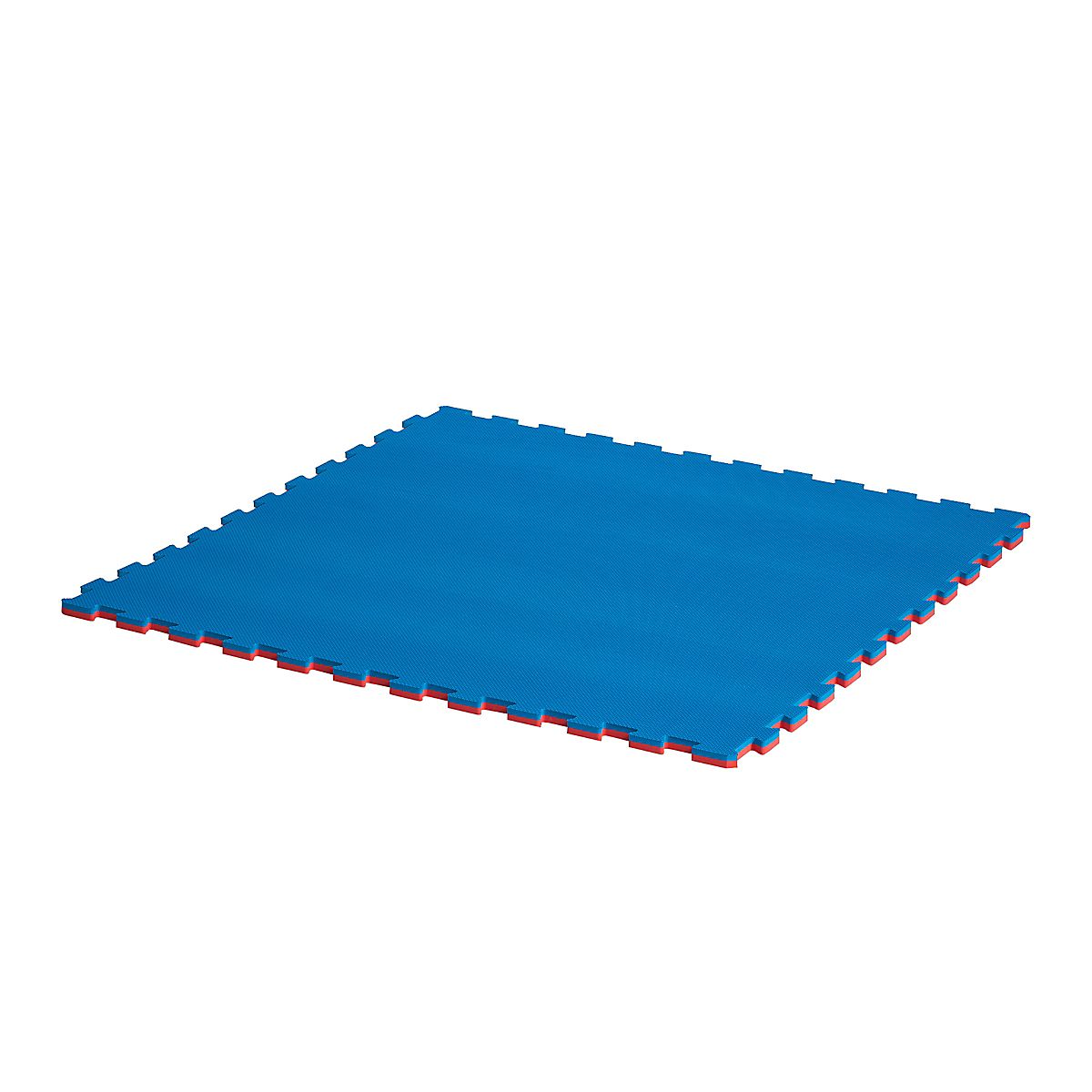 Century Reversible Puzzle Mat | Free Shipping at Academy
