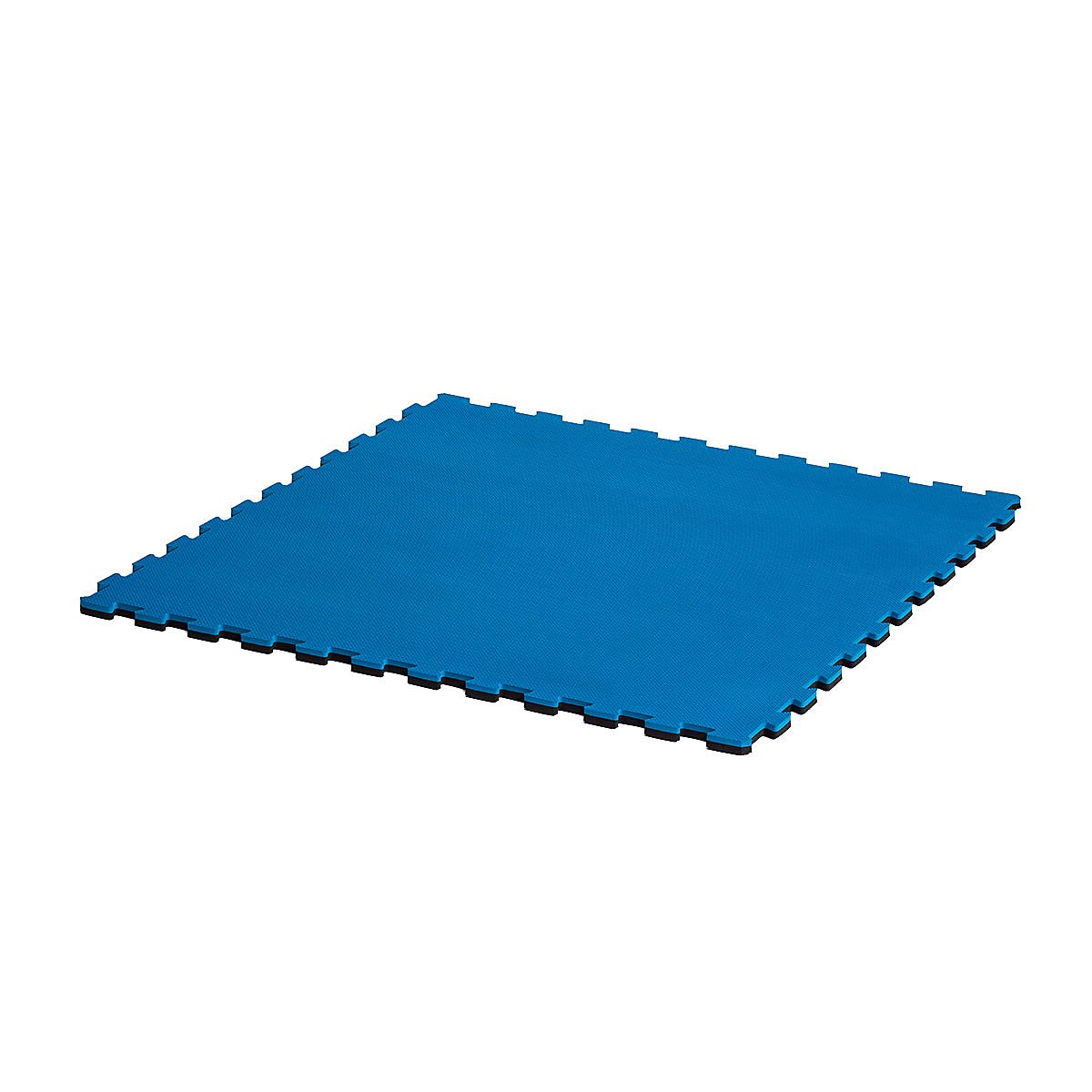 Century Reversible Puzzle Mat | Academy