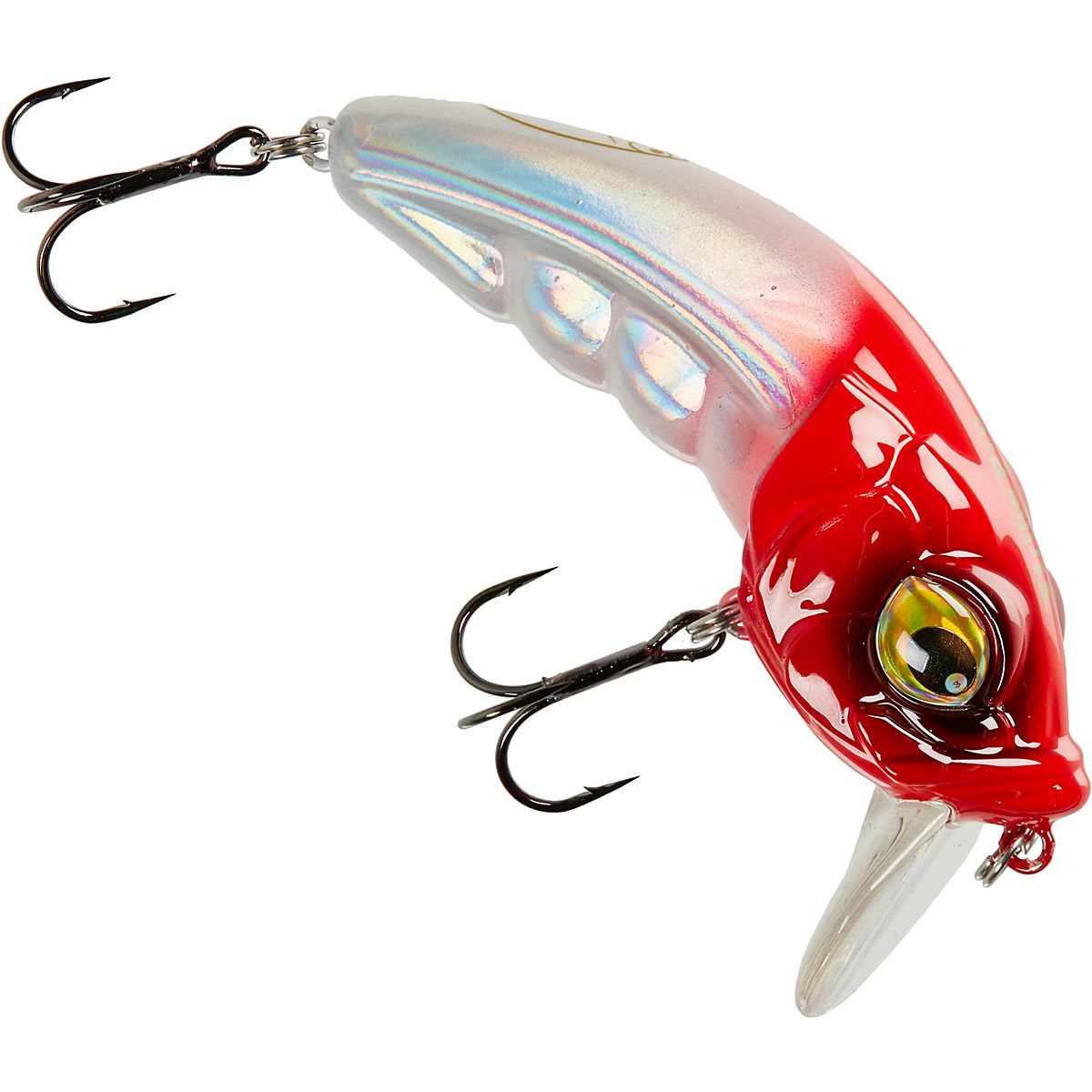 Strike Pro Hunchback 3-1/8 in Fishing Lure | Academy