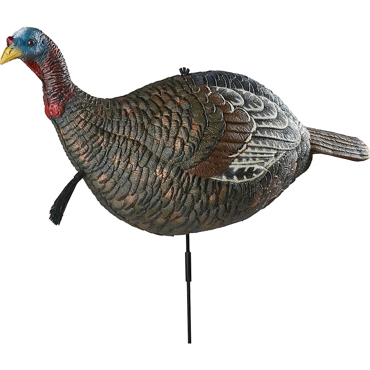 Game Winner Premium Jake Decoy | Academy