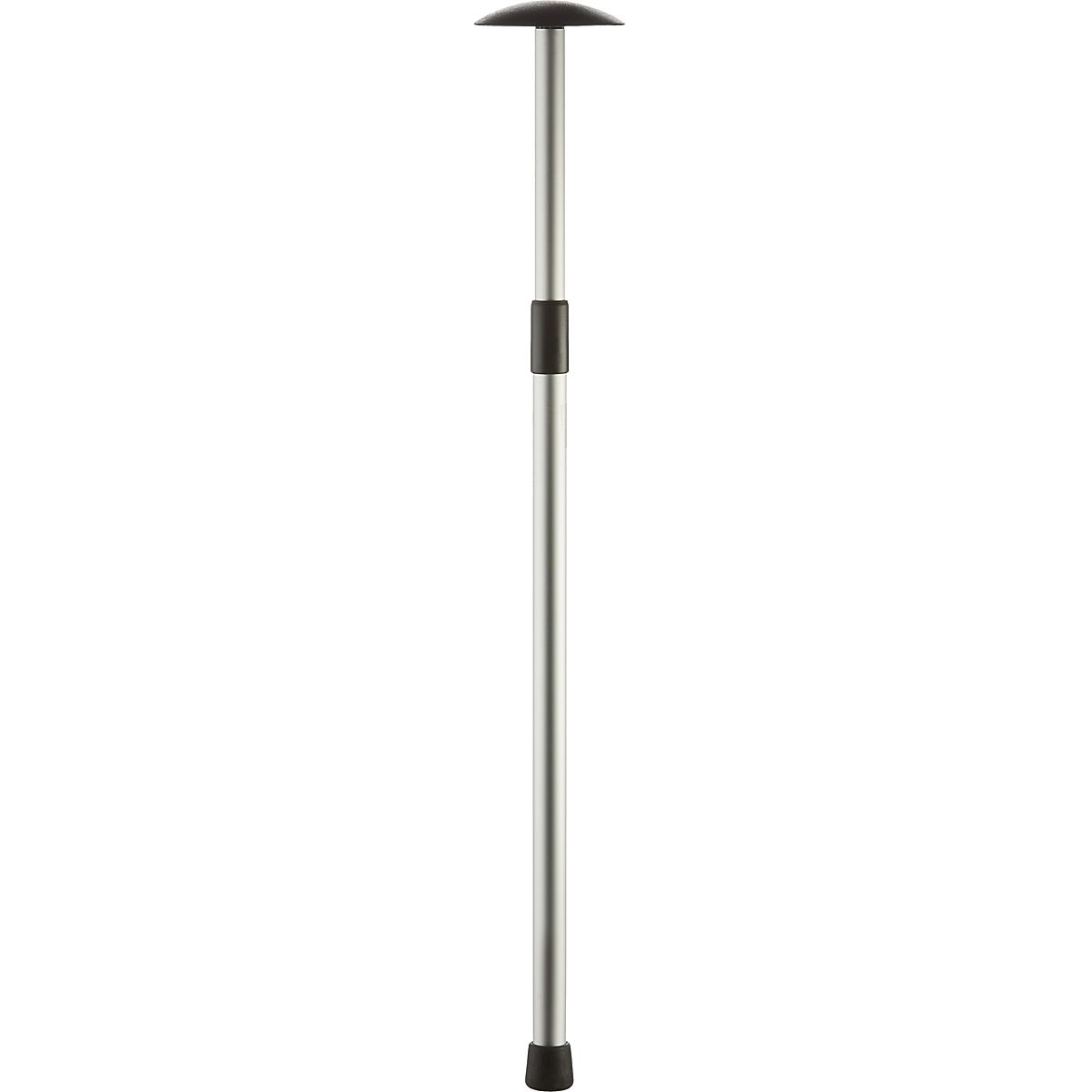 Marine Raider Telescopic Boat Cover Support Pole | Academy