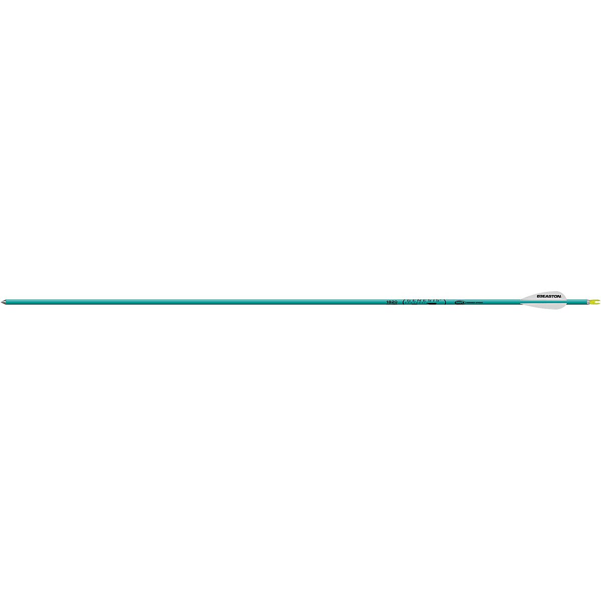 EASTON Genesis Individual NASP Arrow | Academy