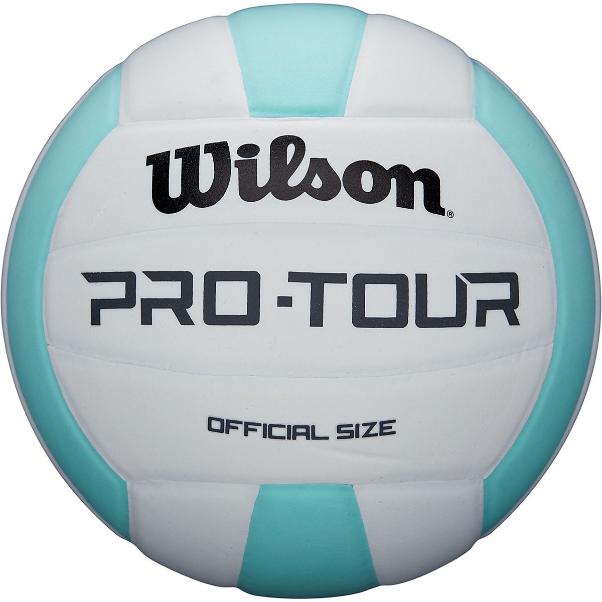 Wilson Pro Tour Indoor Volleyball | Academy