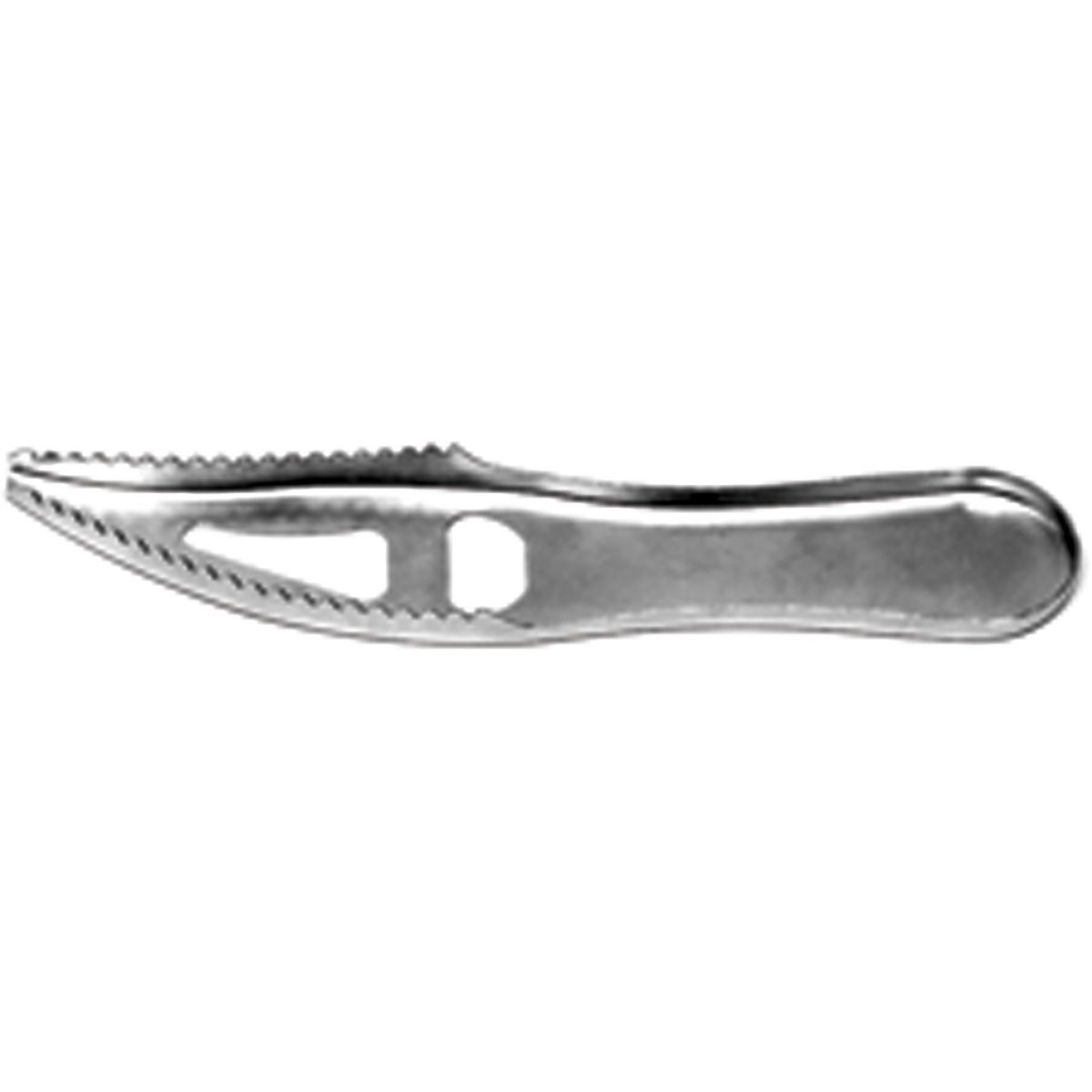 Eagle Claw Metal Fish Scaler | Academy