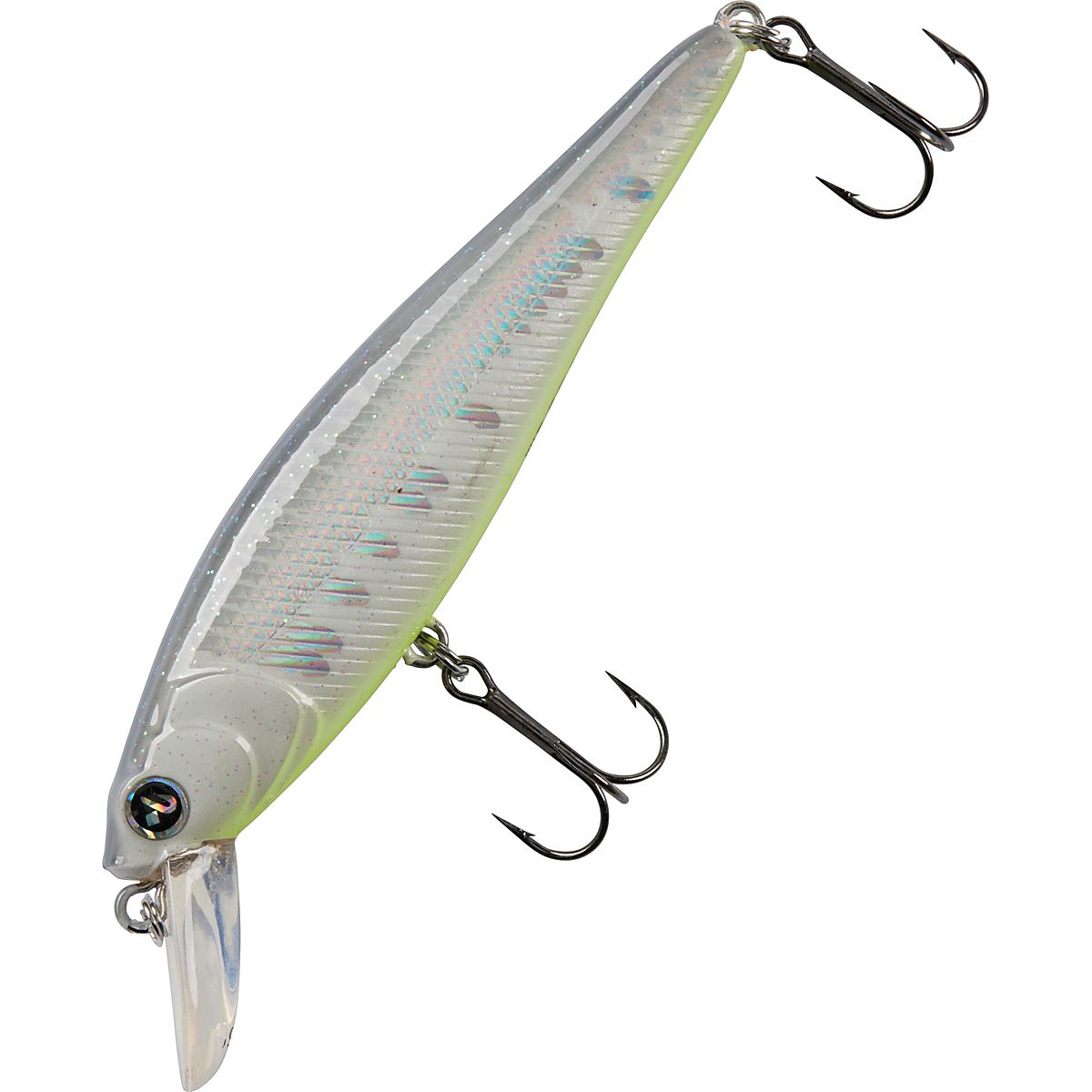 H2OX Premium Floating Jerk Shad Bait | Academy