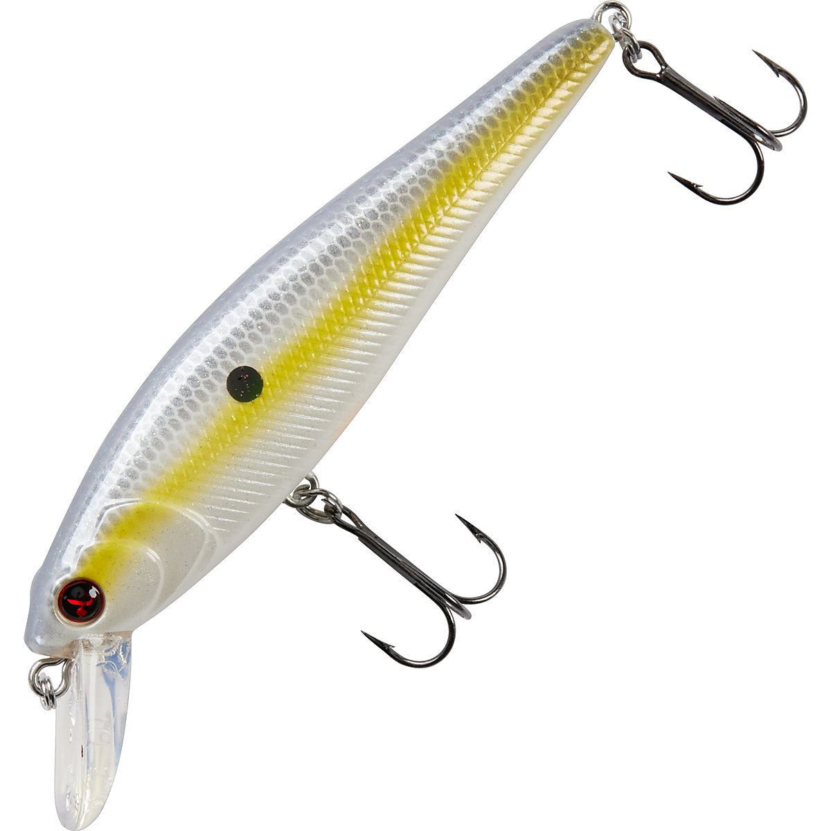 H2OX Premium Floating Jerk Shad Bait | Academy