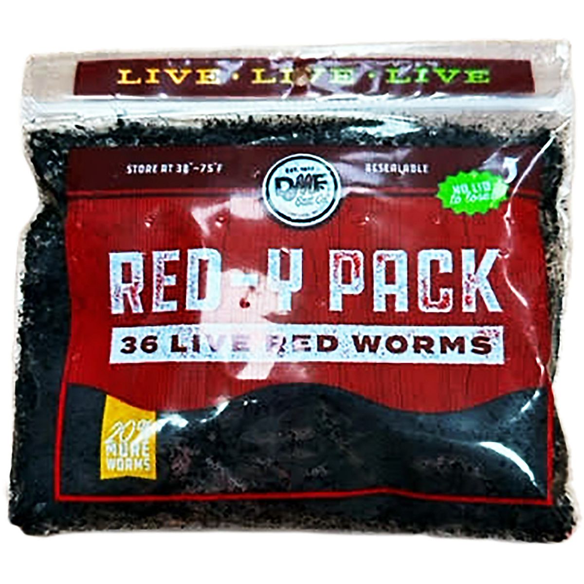 DMF Bait Live Red Worms 36-Pack | Academy