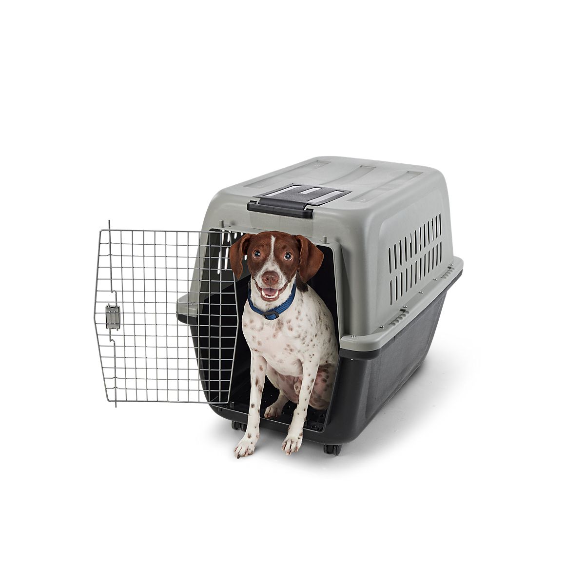 Academy Sports + Outdoors Wheeled Portable Large Kennel | Academy