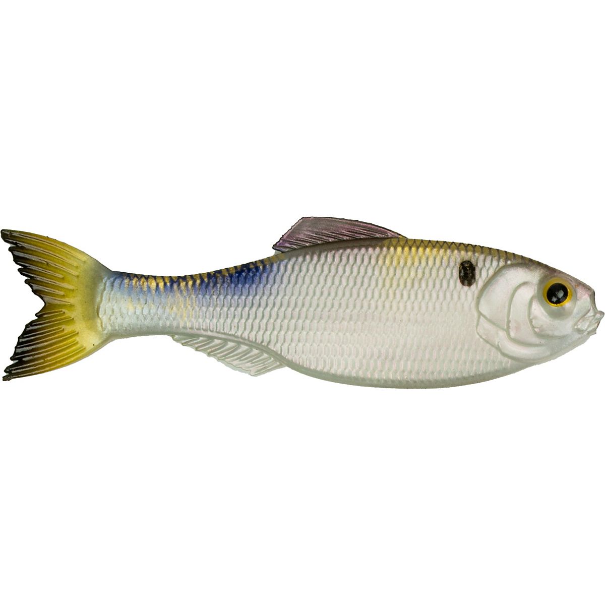 6th Sense Panorama 2 in Soft Baits 8-Pack | Academy