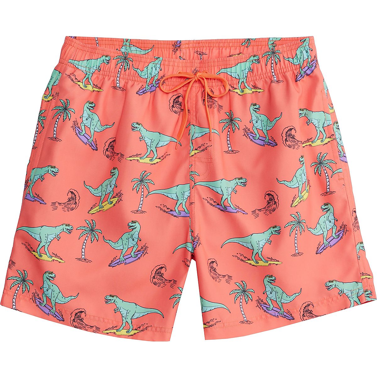 Burnside Men’s Dinosaurs Volley Swim Shorts | Academy