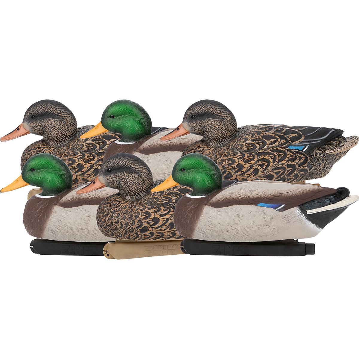 Zink Calls Mallard Decoys 6-Pack | Academy