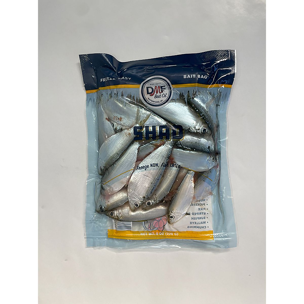 DMF Bait Shad 8 oz Frozen Bait | Academy