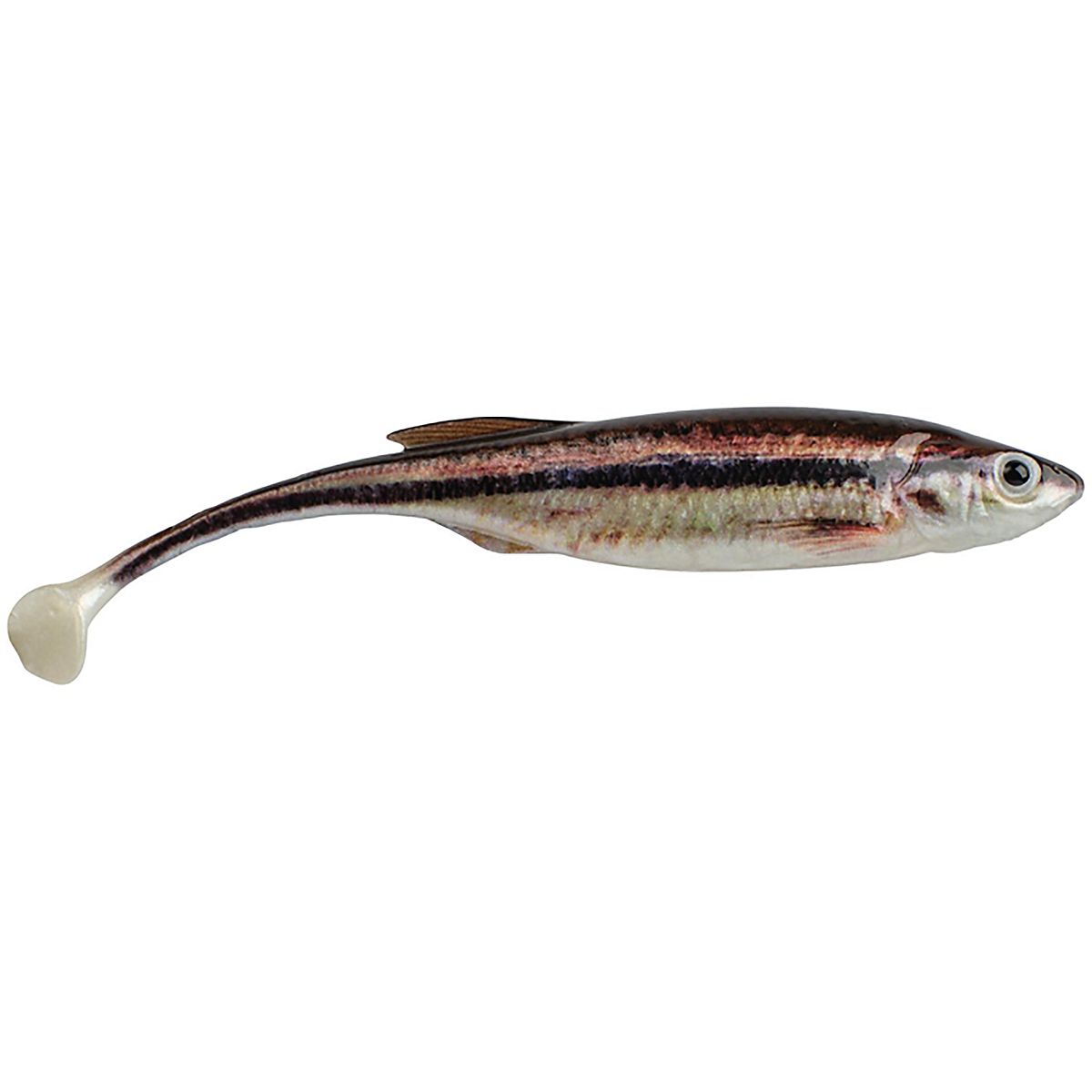 Berkley PowerBait Drip Swimmer 6-Pack | Academy