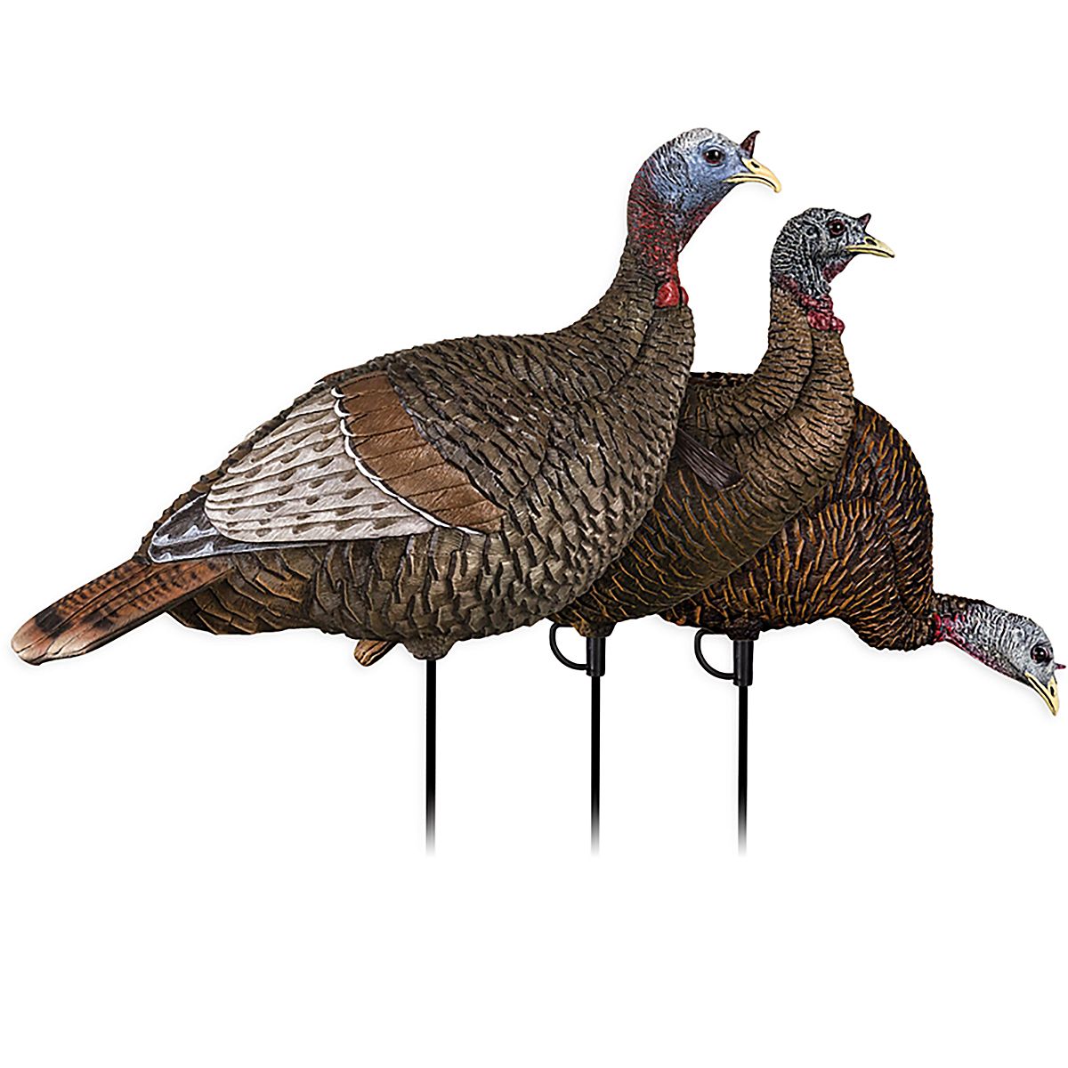 Flextone Thunder Turkey Decoys 3-Pack | Academy