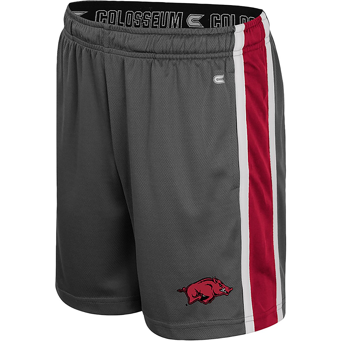 Colosseum Athletics Kids' Arkansas Razorbacks Ripple Shorts 6.25 in ...