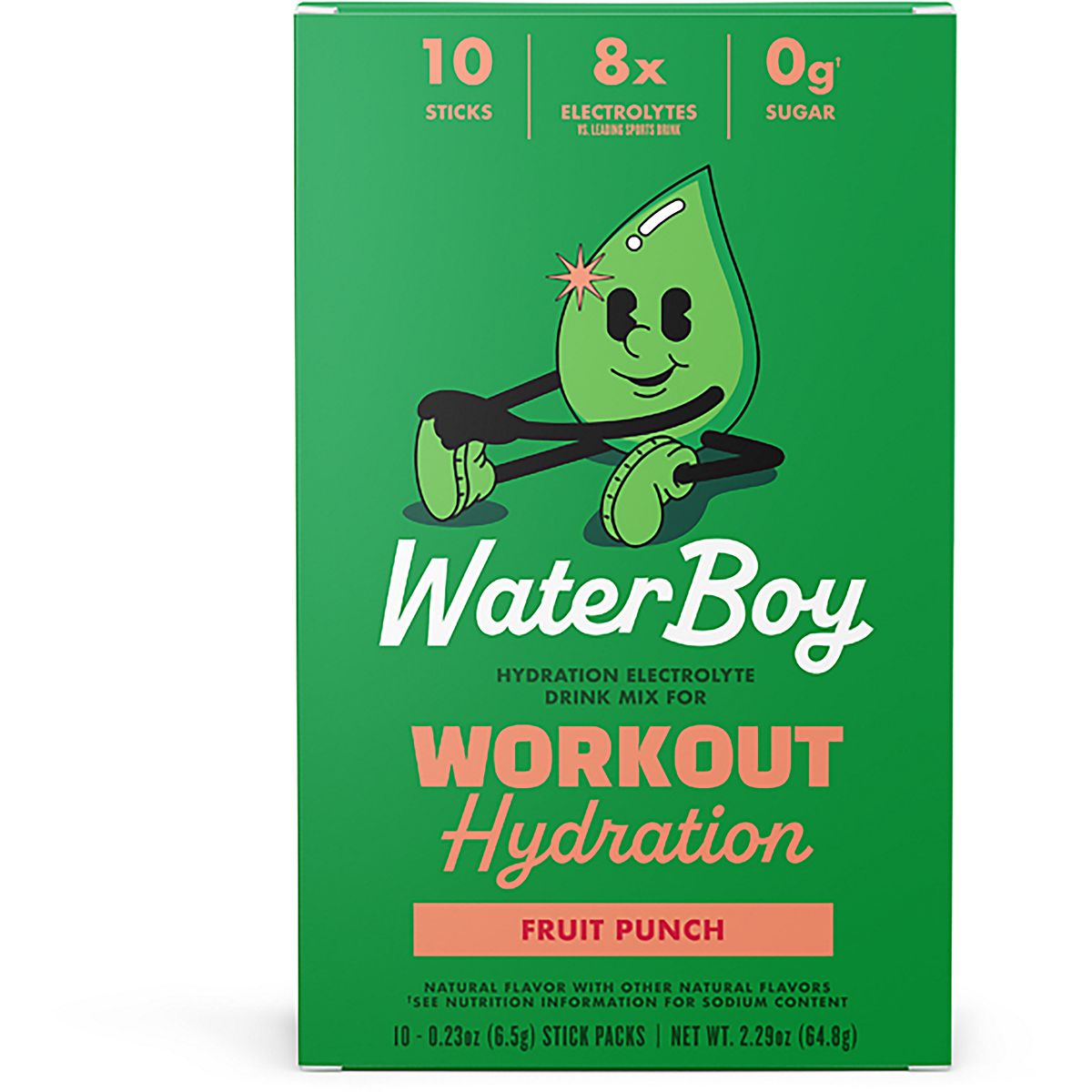 Waterboy Workout Hydration Sticks 10-Pack | Academy