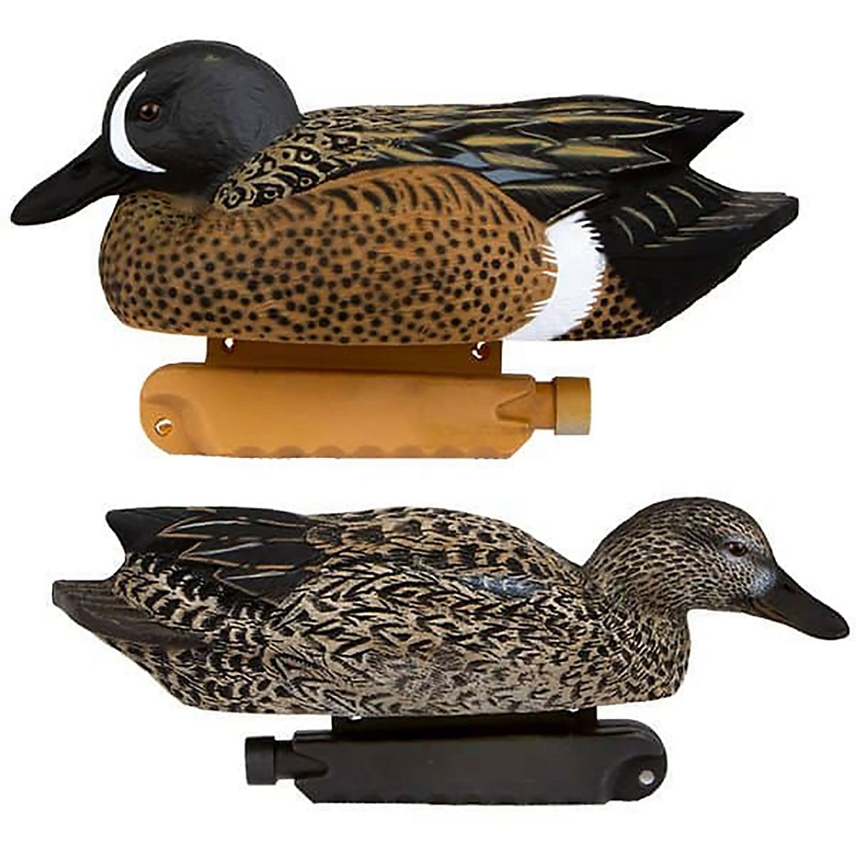 Cupped 3-D Blue-Winged Teal Decoys 6-Pack | Academy