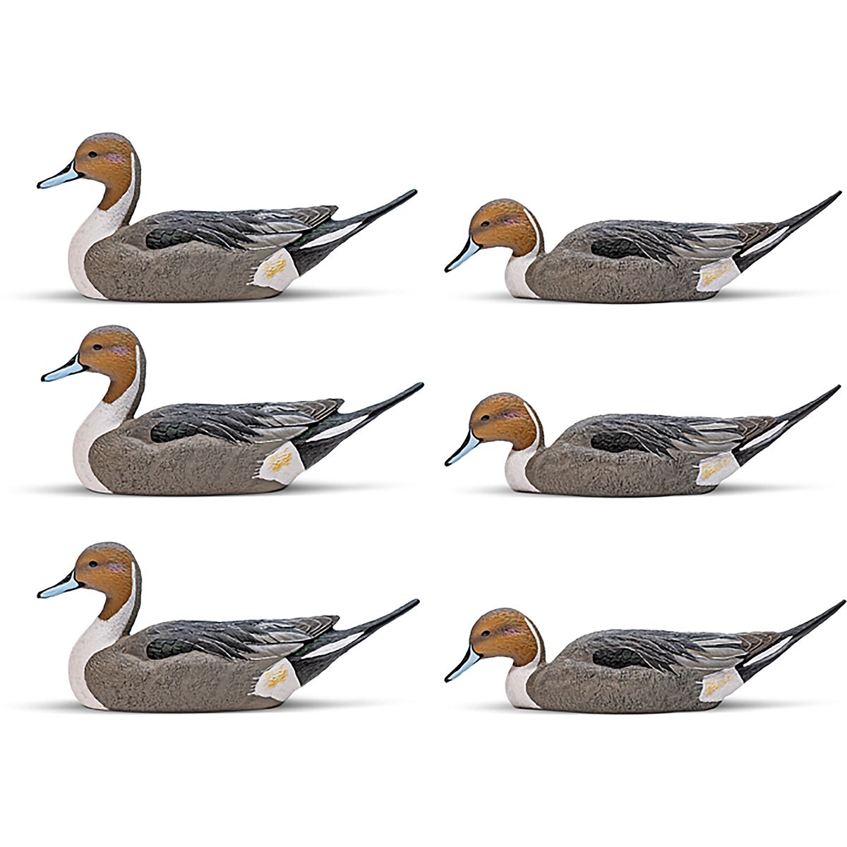 Rig'Em Right Outdoors Mainline Series Pintail Decoy 6-Pack | Academy