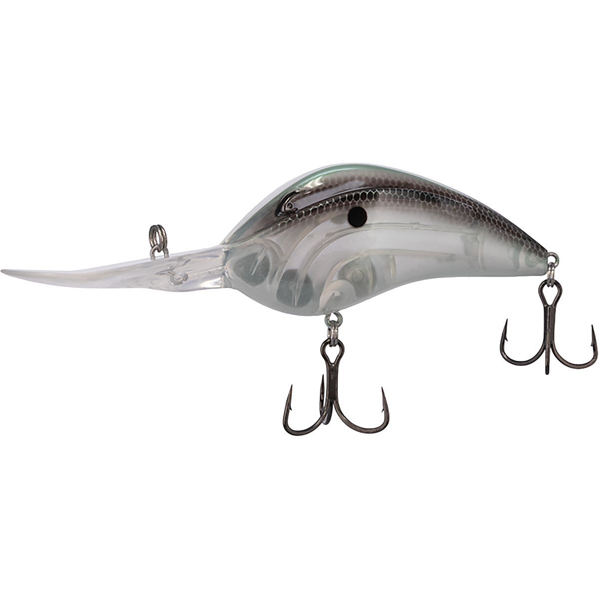Bill Lewis Lures DR 24 Bait | Academy