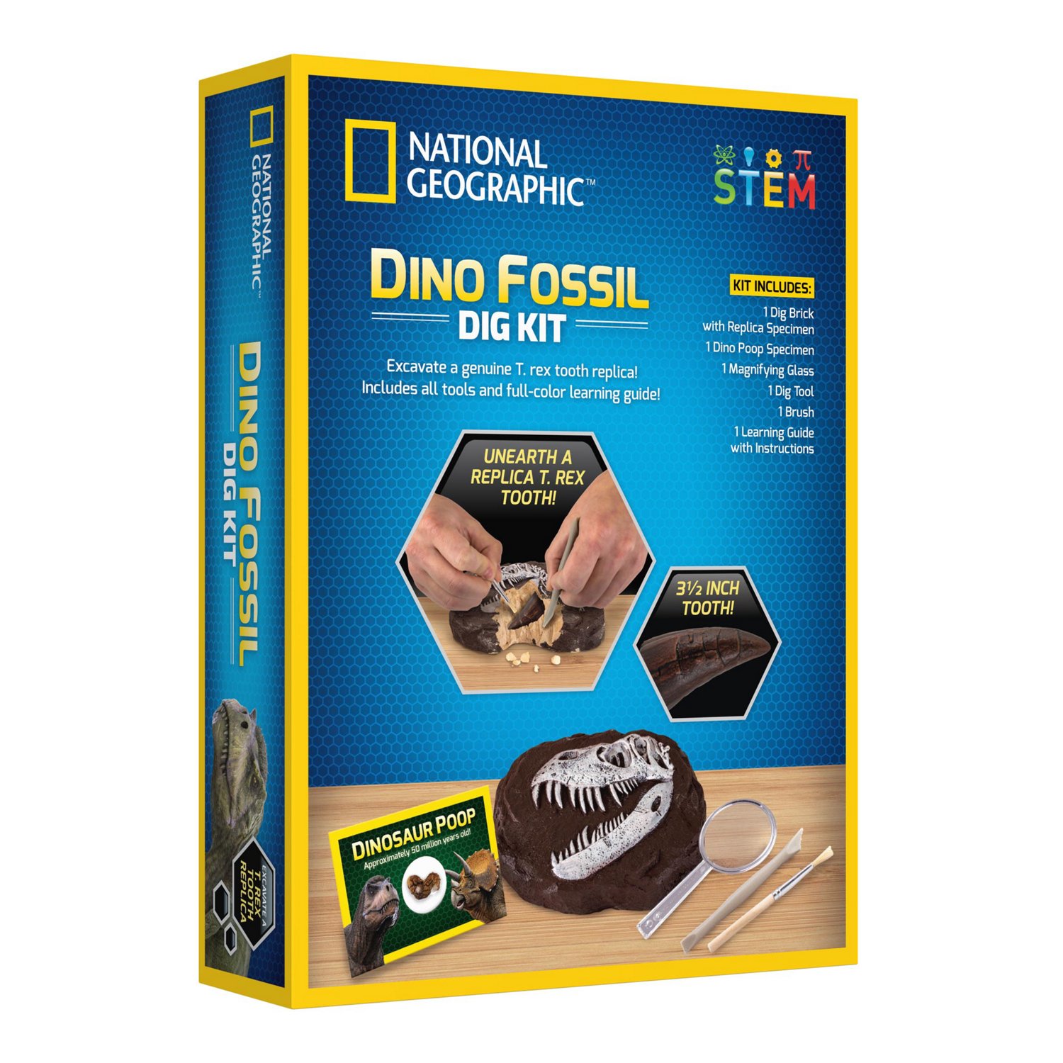 National Geographic Dino Dig Kit | Academy