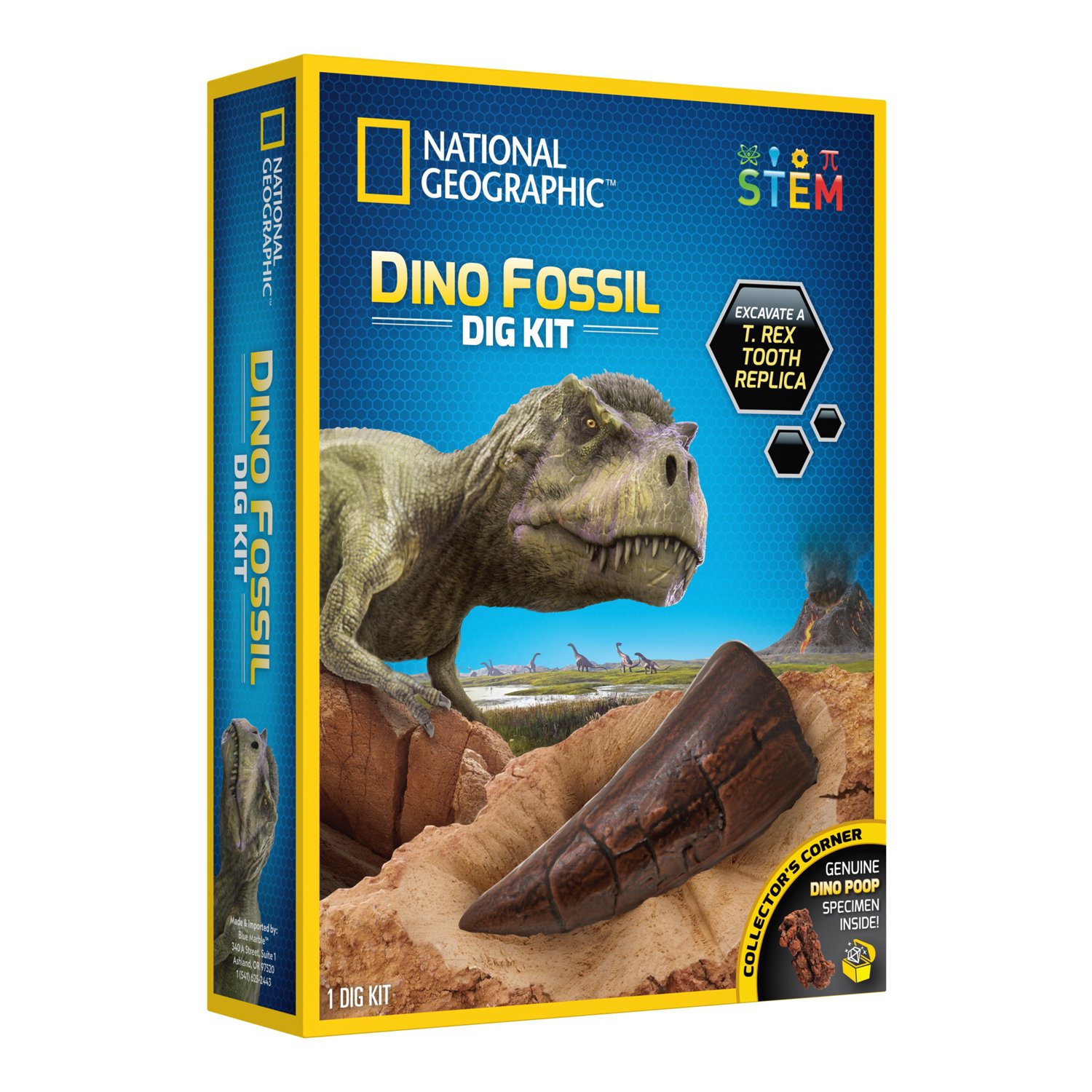 National Geographic Dino Dig Kit | Academy