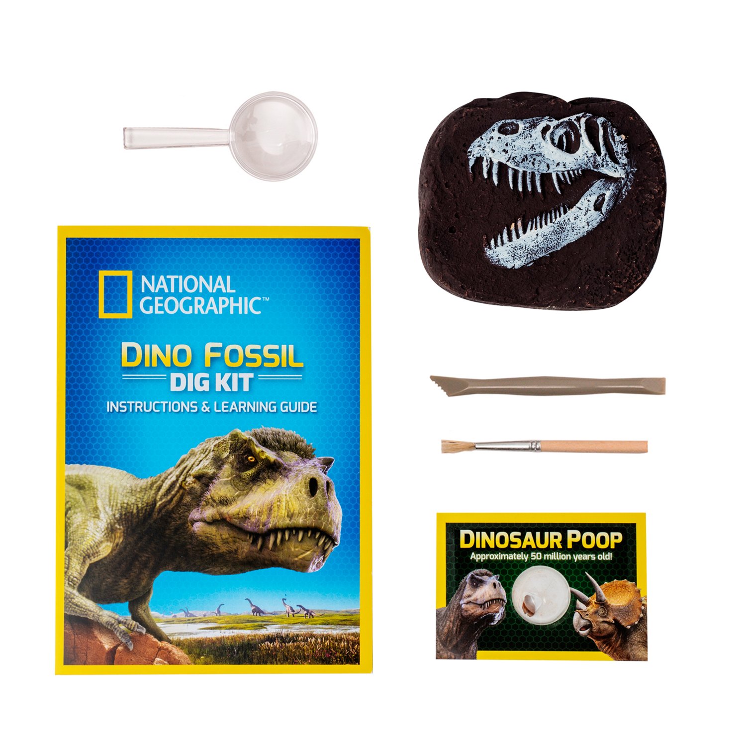 National Geographic Dino Dig Kit | Academy