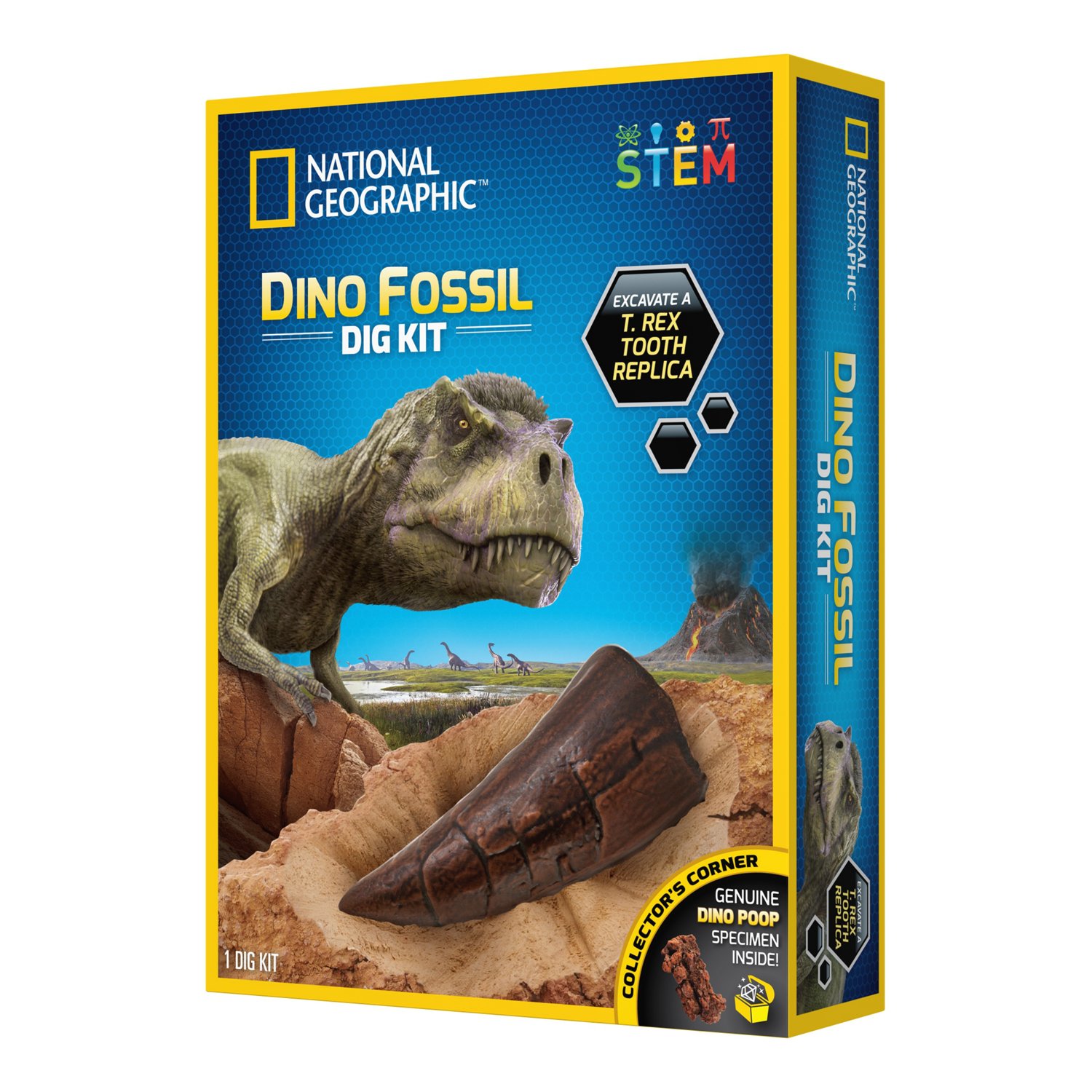 National Geographic Dino Dig Kit | Academy