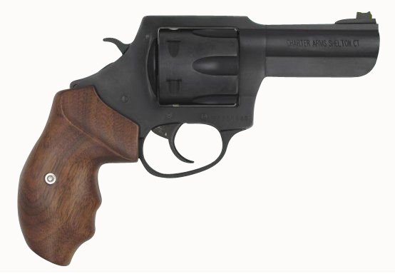 Charter Arms The Professional III 357 Magnum Single/Double-Action ...