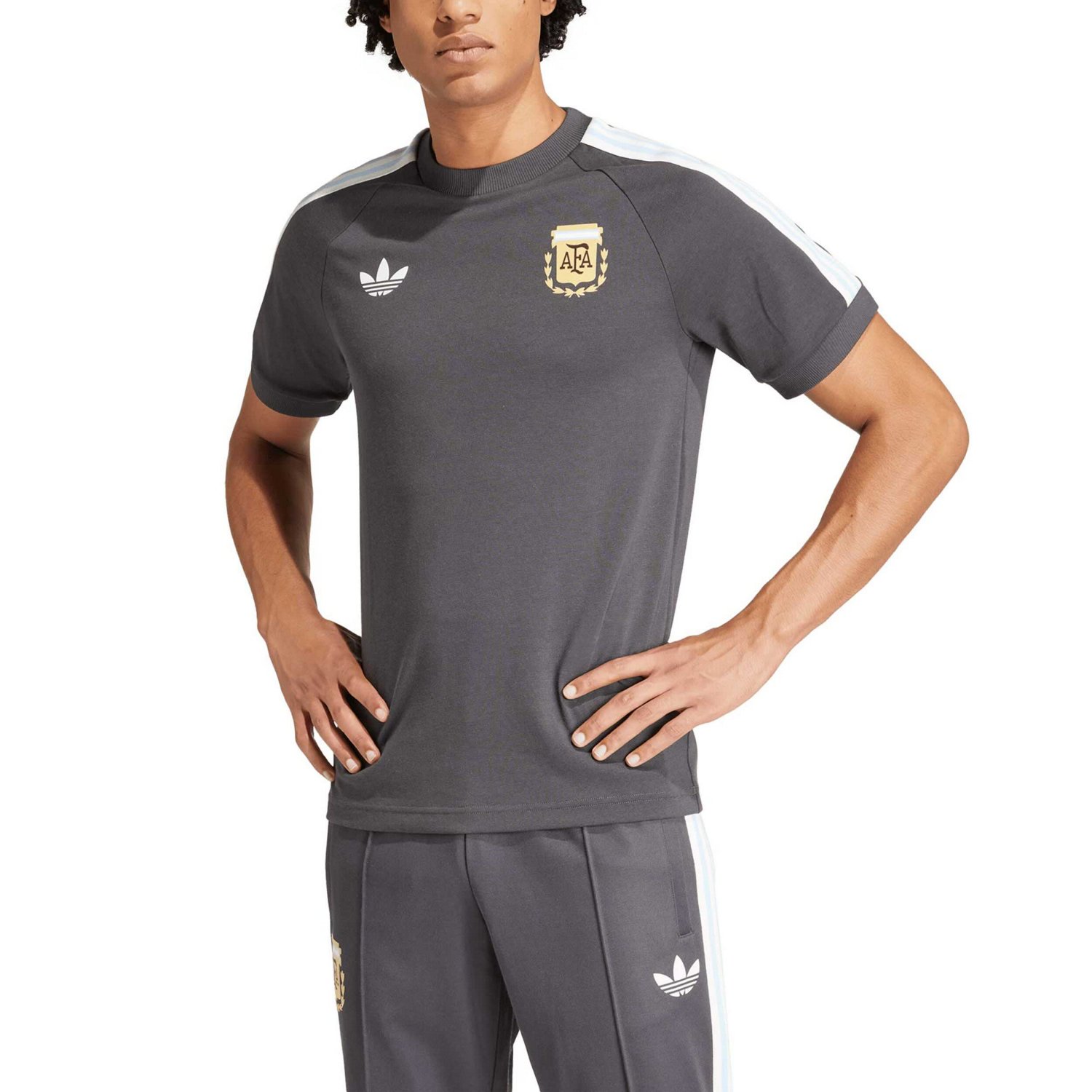 adidas Originals Argentina National Team Raglan Three-Stripe T-Shirt ...