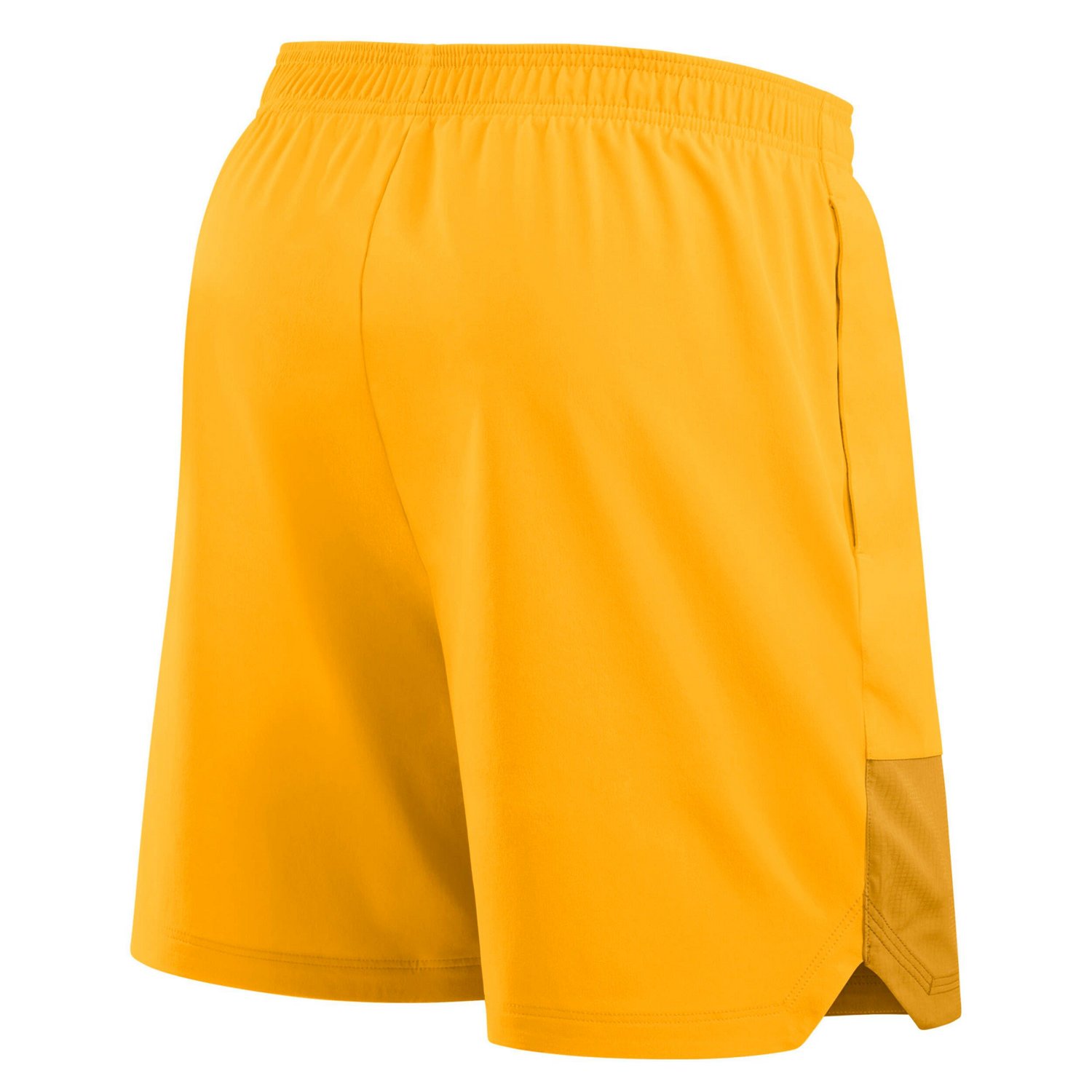 Nike Pitt Panthers 2025 Sideline Performance Shorts | Academy