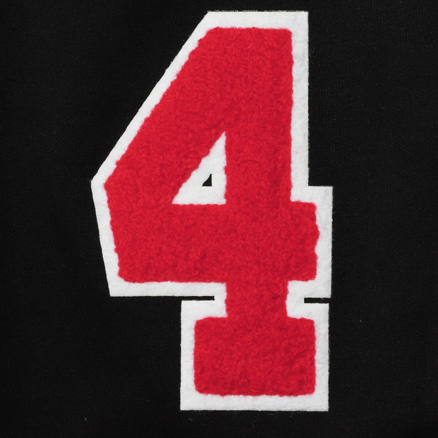 Pro Standard Scottie Barnes Toronto Raptors Player Replica Shorts | Academy